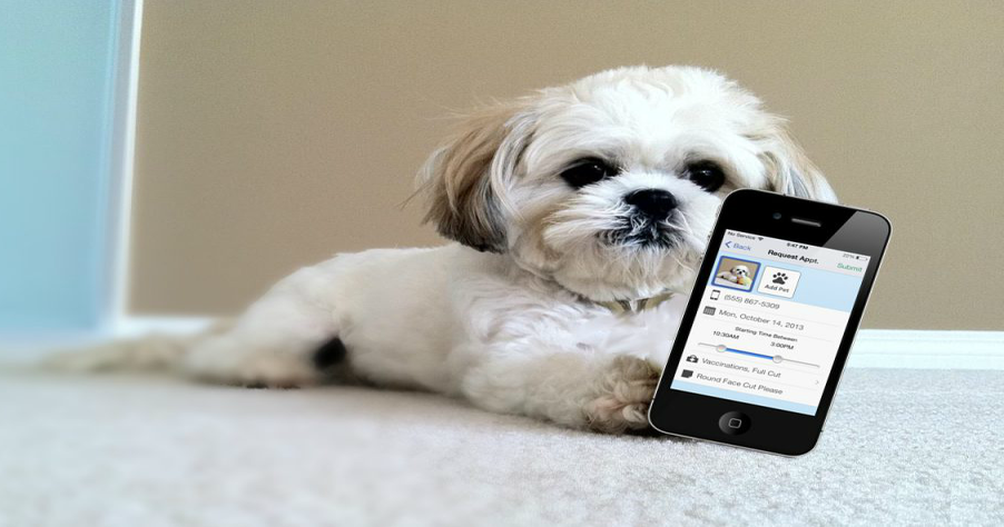 PetDesk App | Family Animal Hospital Friendswood